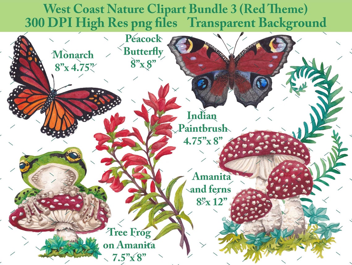 West Coast Nature Clip Art Bundle 3 - Forest Clipart - Watercolor ...
