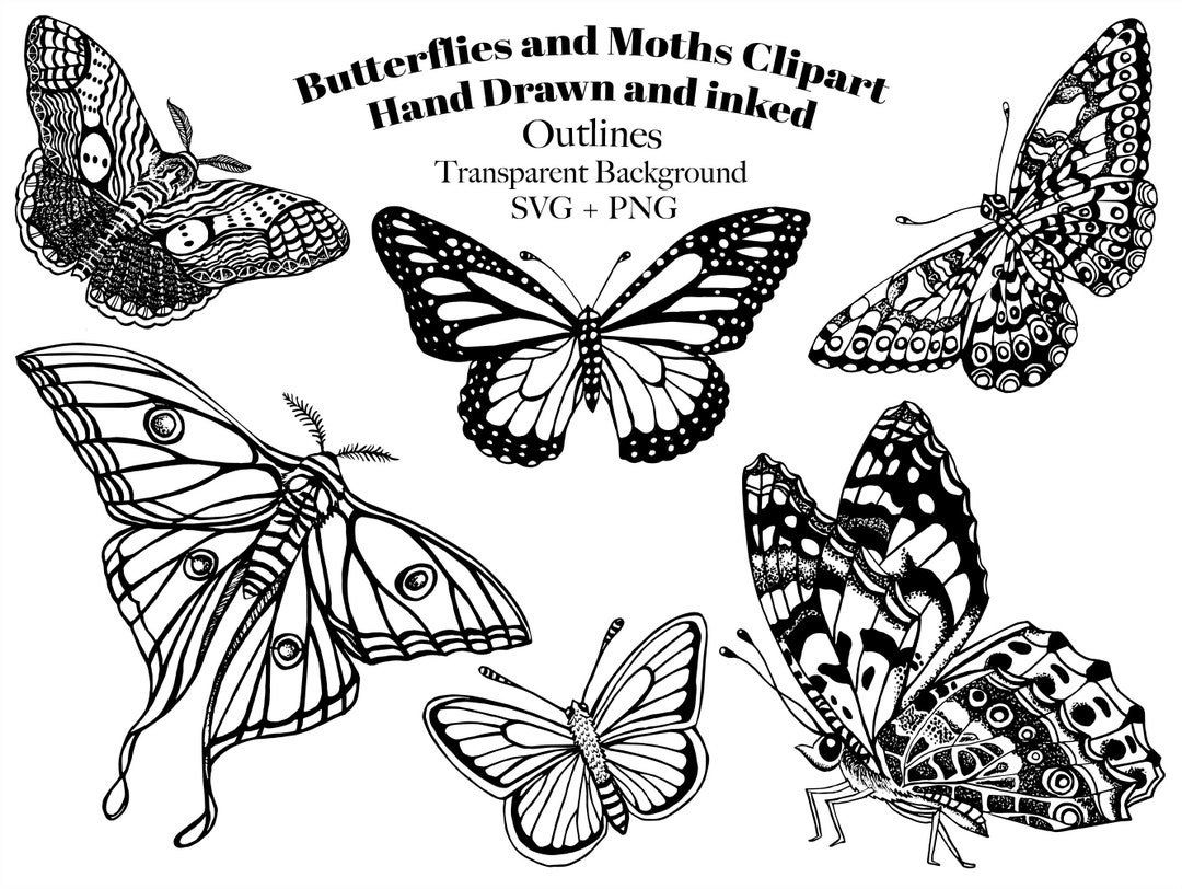 Butterflies Clipart - Butterfly and Moth Clip Art - Hand Drawn and ...