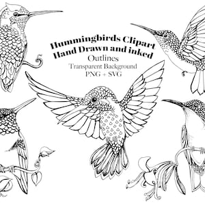 Hummingbird Clipart - Hand Drawn and Inked - SVG - PNG - Black and ...