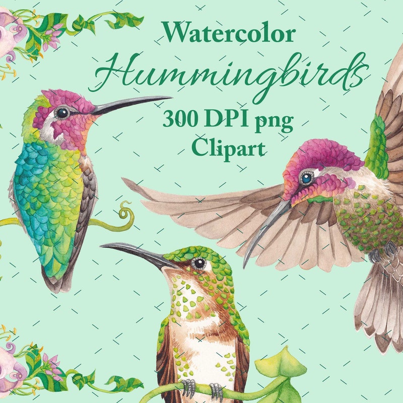 Hummingbird Clip Art - Etsy
