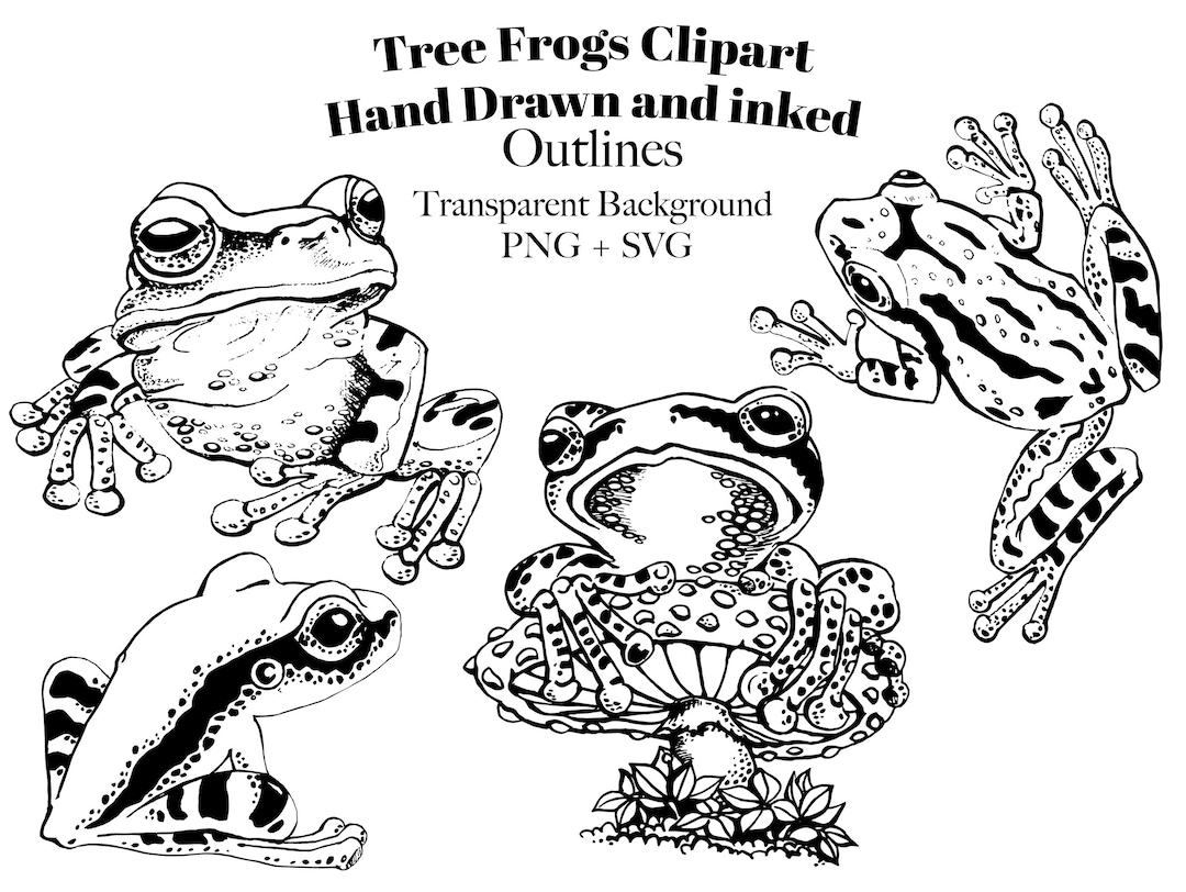 Tree Frogs Clipart - for Frog Lovers - Hand Drawn and Inked - SVG - PNG ...