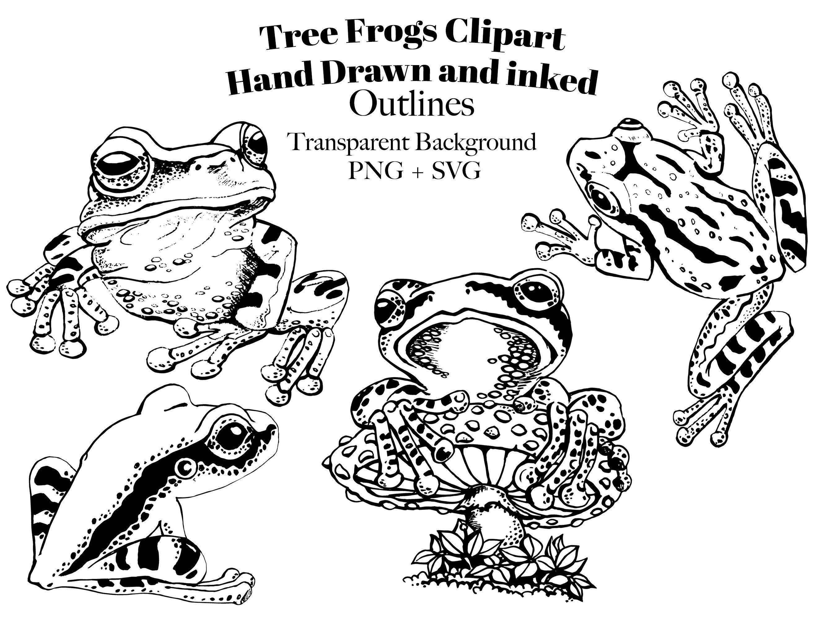 Tree Frog Clipart Black And White