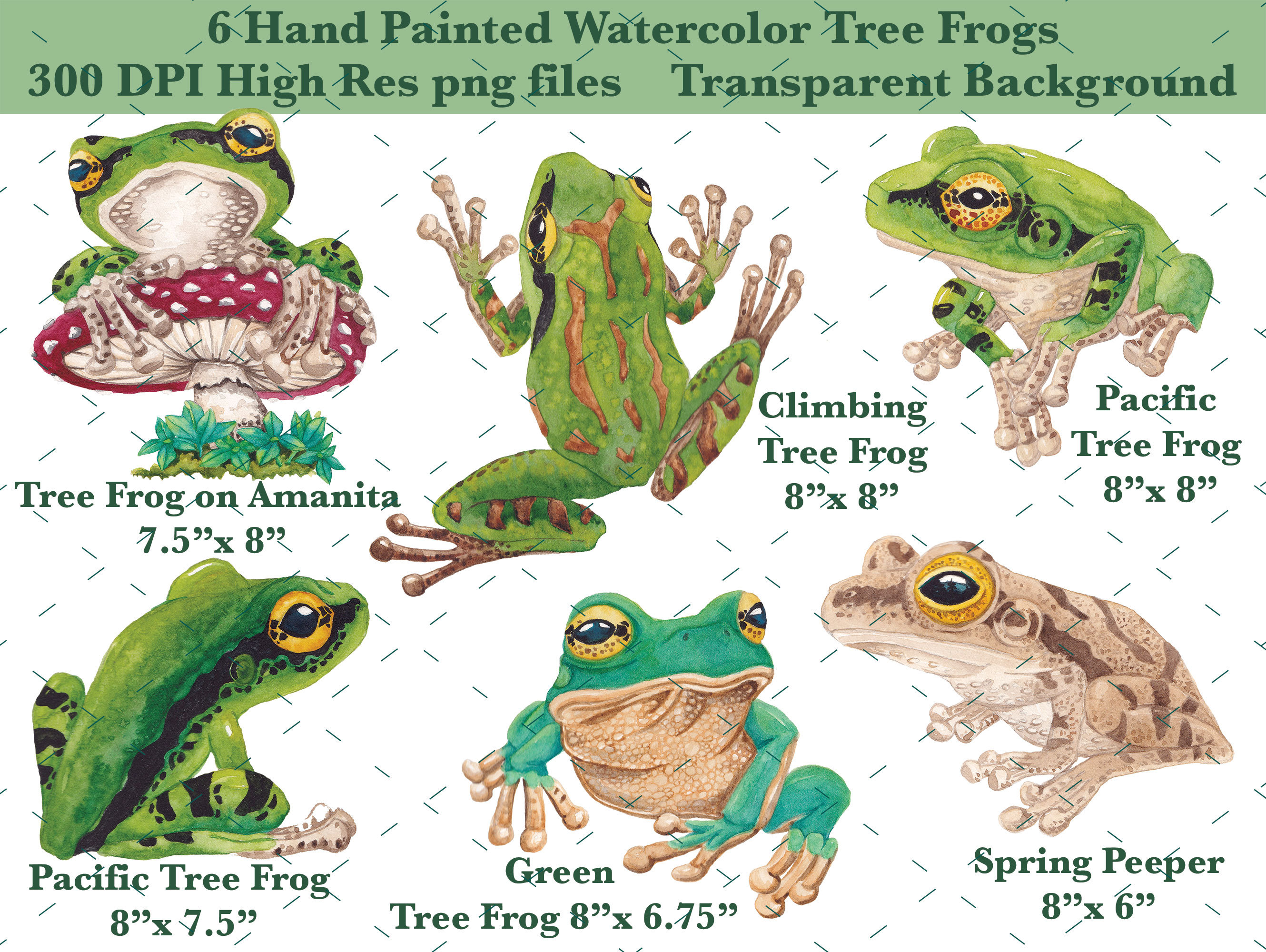 Frog Clipart Bundle - Tree Frog Clip Art - Mushroom - Fern - Frog ...