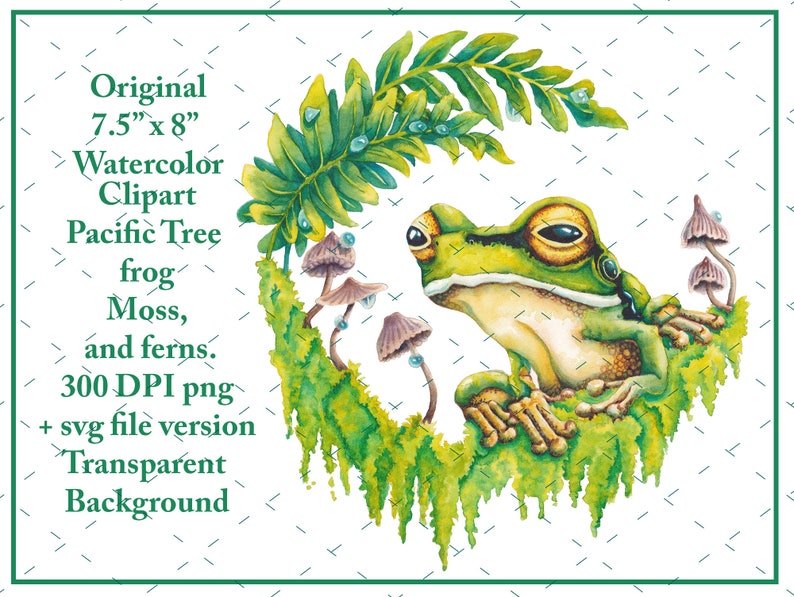 Frog and Fern Watercolor Clipart - Hand Painted - 300 DPI High ...