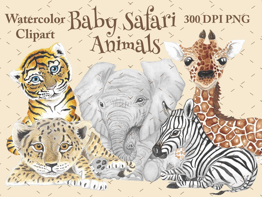 Baby Safari Animals Clipart - African Animals Clip Art - Jungle Plants ...