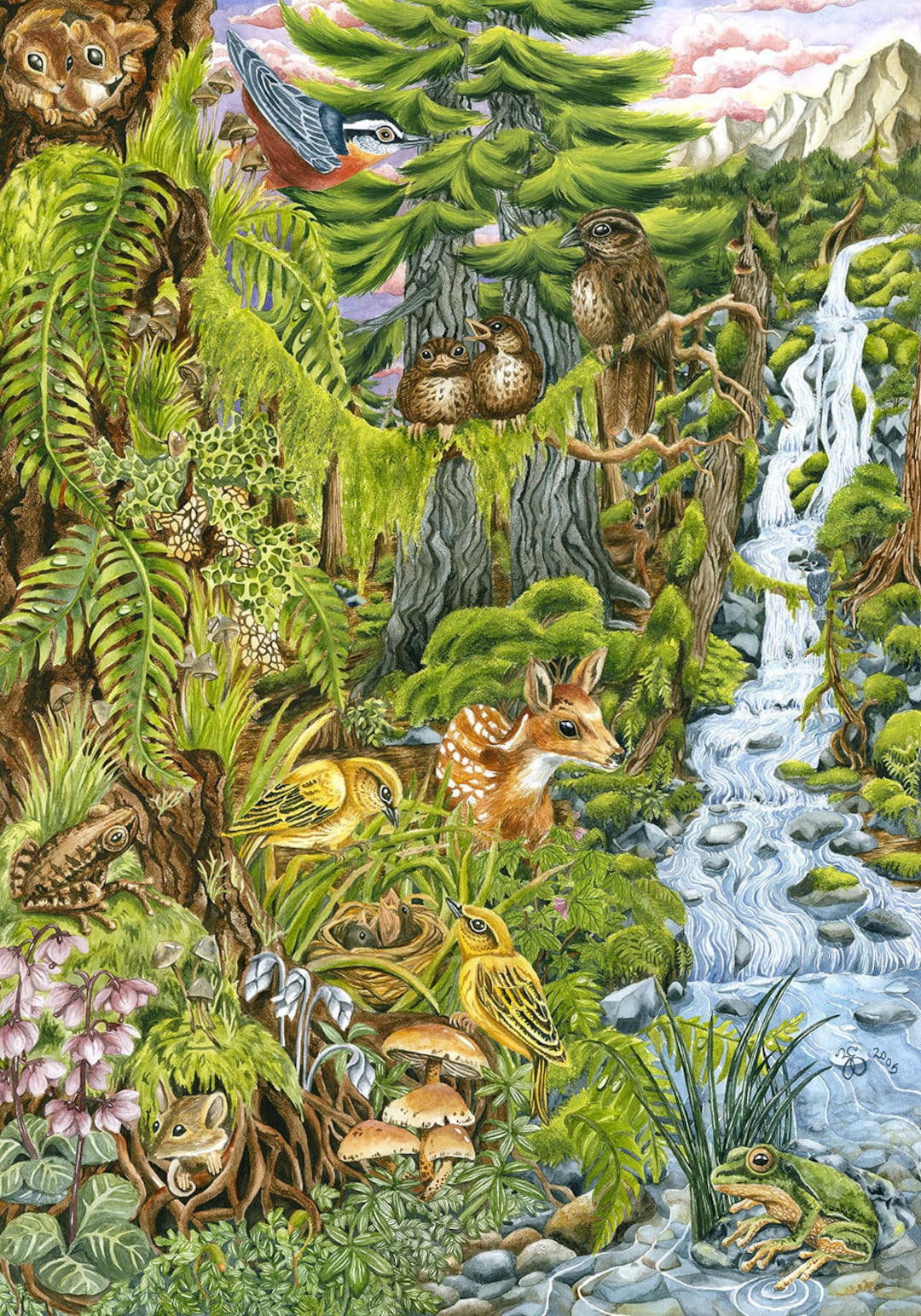 Oldgrowth Forest Art Card, Original Watercolour Painting, Rainforest ...