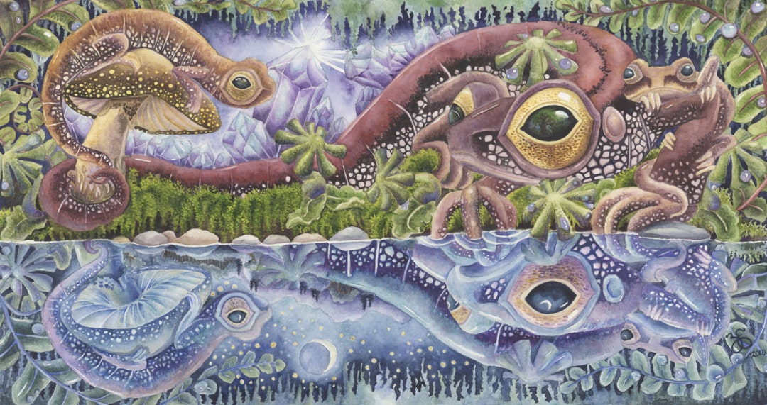 Salamander Art Card Watercolour Greeting Card Amphibian Painting - Etsy