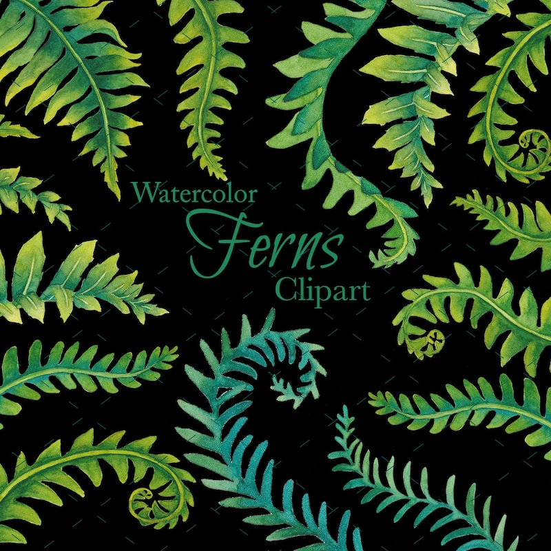 Fern Botanical Borders - Etsy