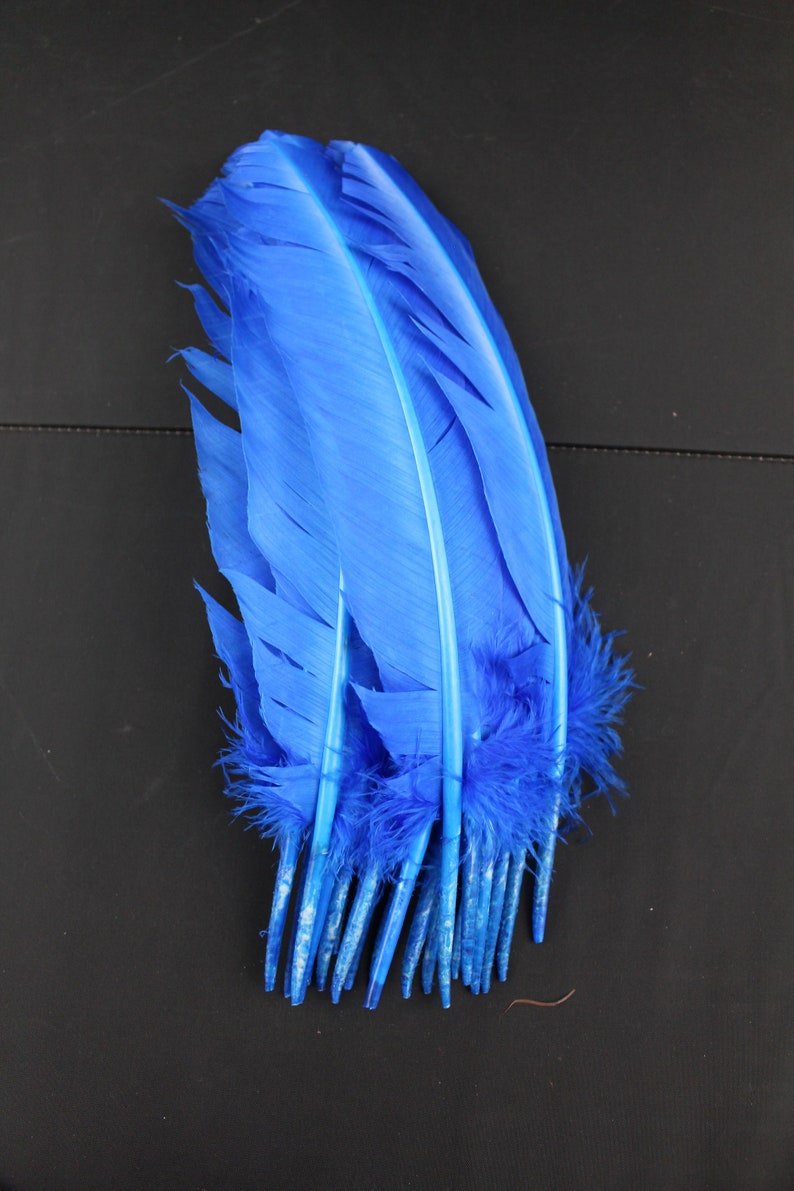 Royal Blue 10-12 Inch Turkey Quill Feathers 20 Pcs Primary - Etsy