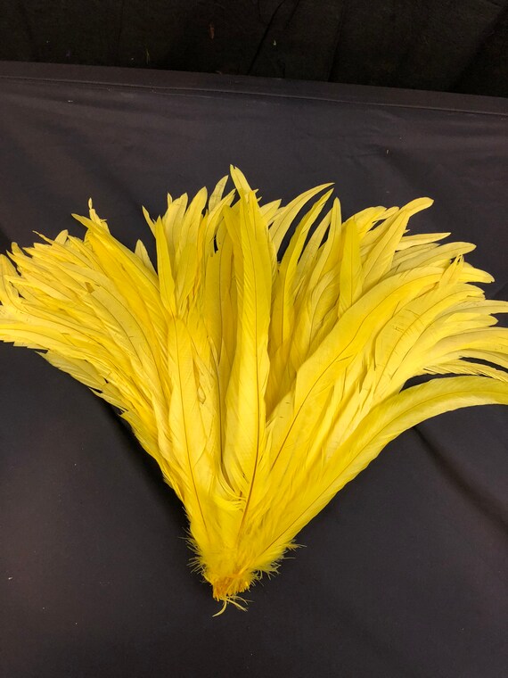Light Yellow 20pcs 1416 Rooster Coque Tail - Etsy