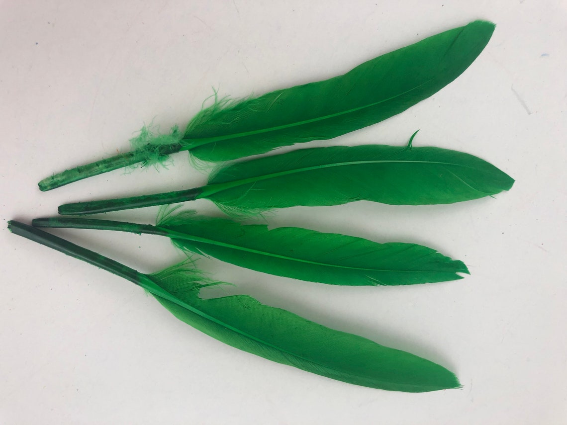 25 PCS Green Color Duck Feathers 4-6 Inch Long Natural Duck - Etsy