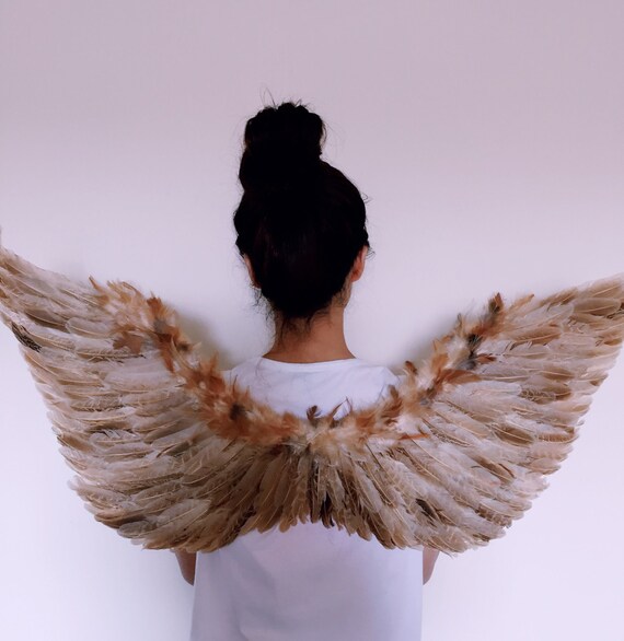 Brown Feather Wings