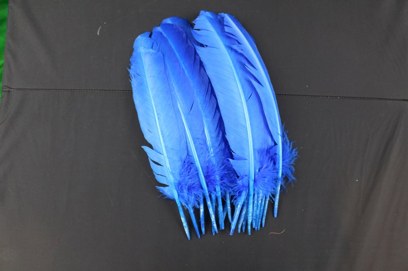 Royal Blue 10-12 Inch Turkey Quill Feathers 20 Pcs Primary - Etsy