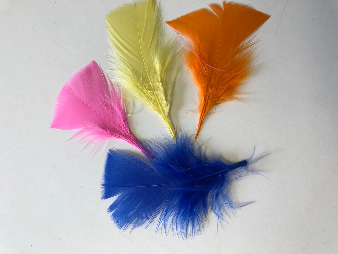 2''5'' Colorful Feathers in Bulk, DIY Colorful Goose Feathers ...