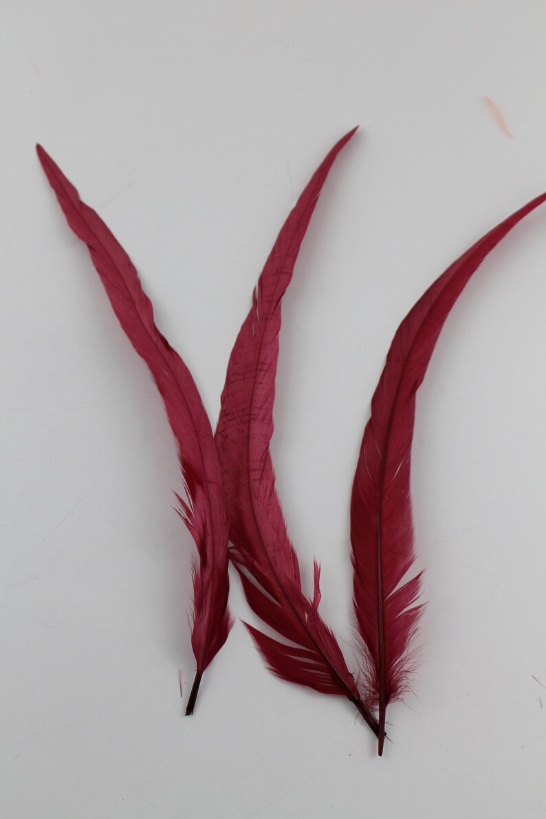 Burgundy 20pcs Rooster Coque Tail Feathers for Crafting | Etsy