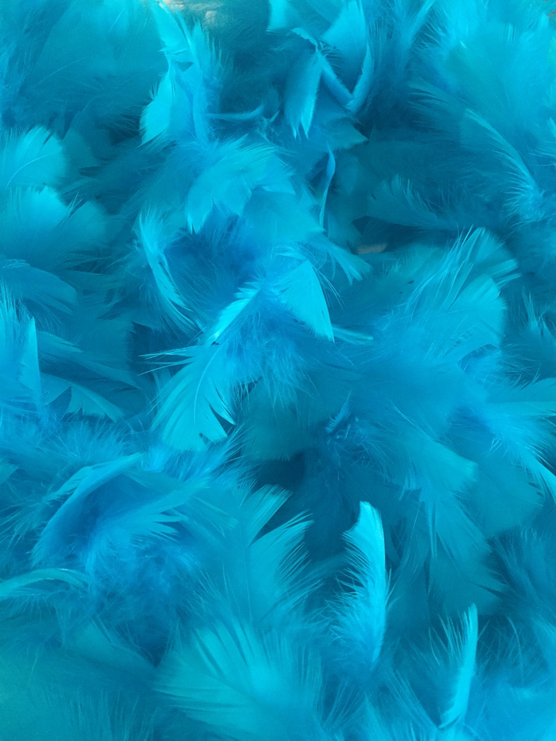 200 Gram 2 Yrd Flat Fluffy Turkey Ruff Feather Boas - Etsy