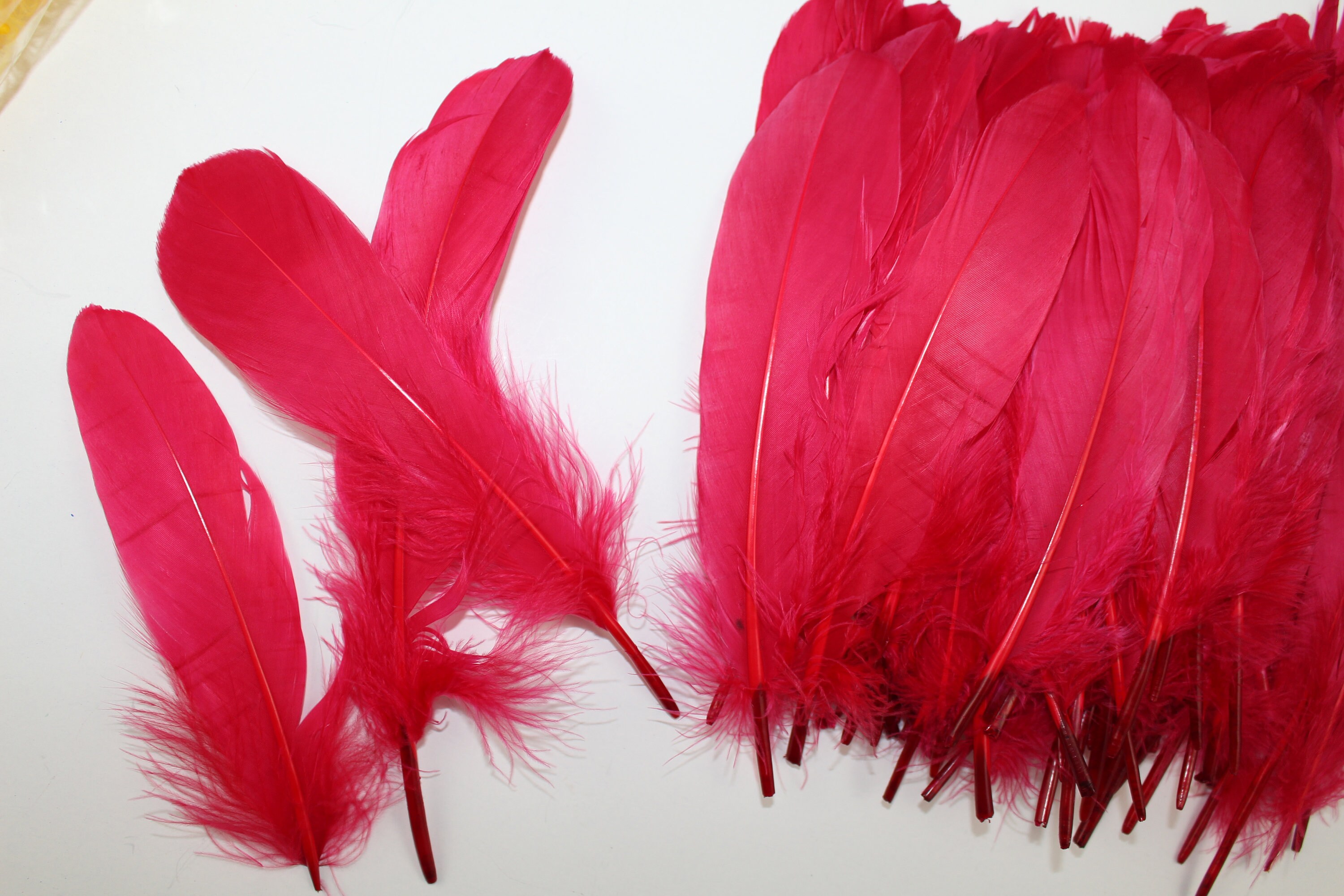 Five Color Feathers Duck Quills 100 PCS 78 Long | Etsy