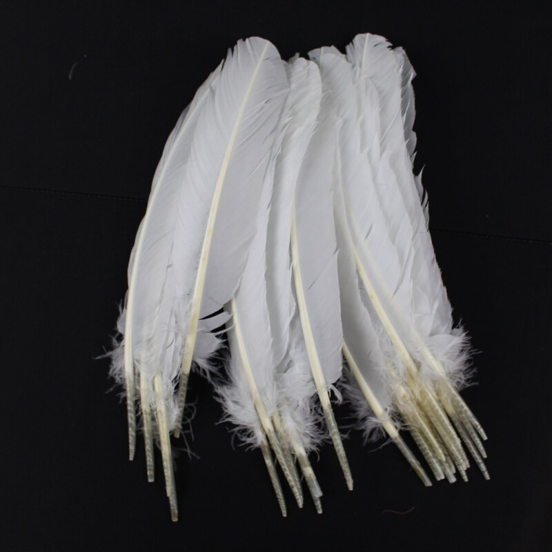 Large Feathers - Etsy