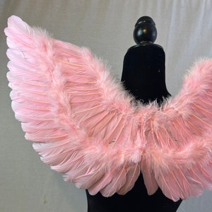 Pink Small Turkey and Goose Feather Angel Wings Costume, Party ...