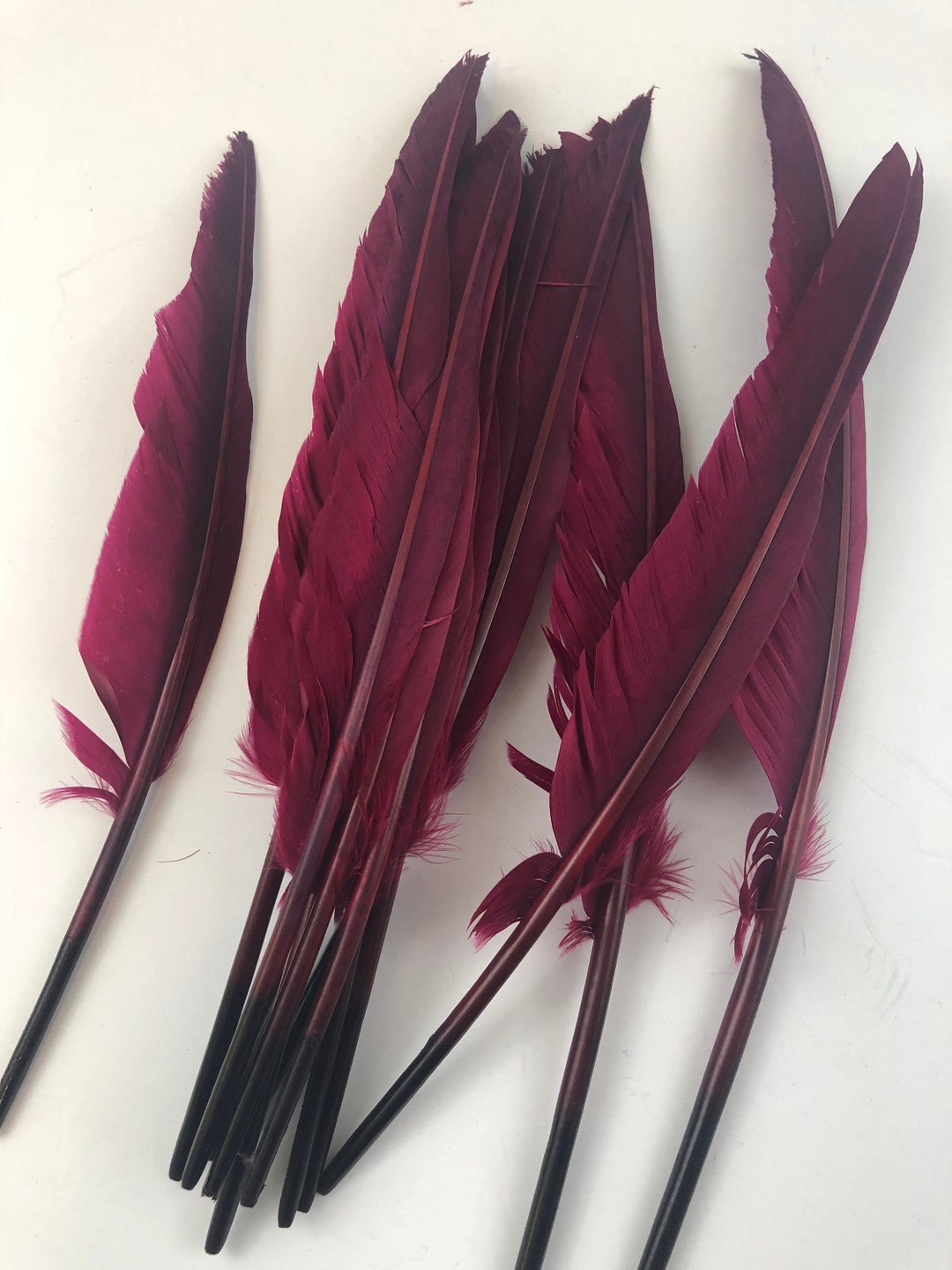 Burgundy 10-12 Inch Left Side Wings Duck Feathers 10pcs, Goose Pointers ...