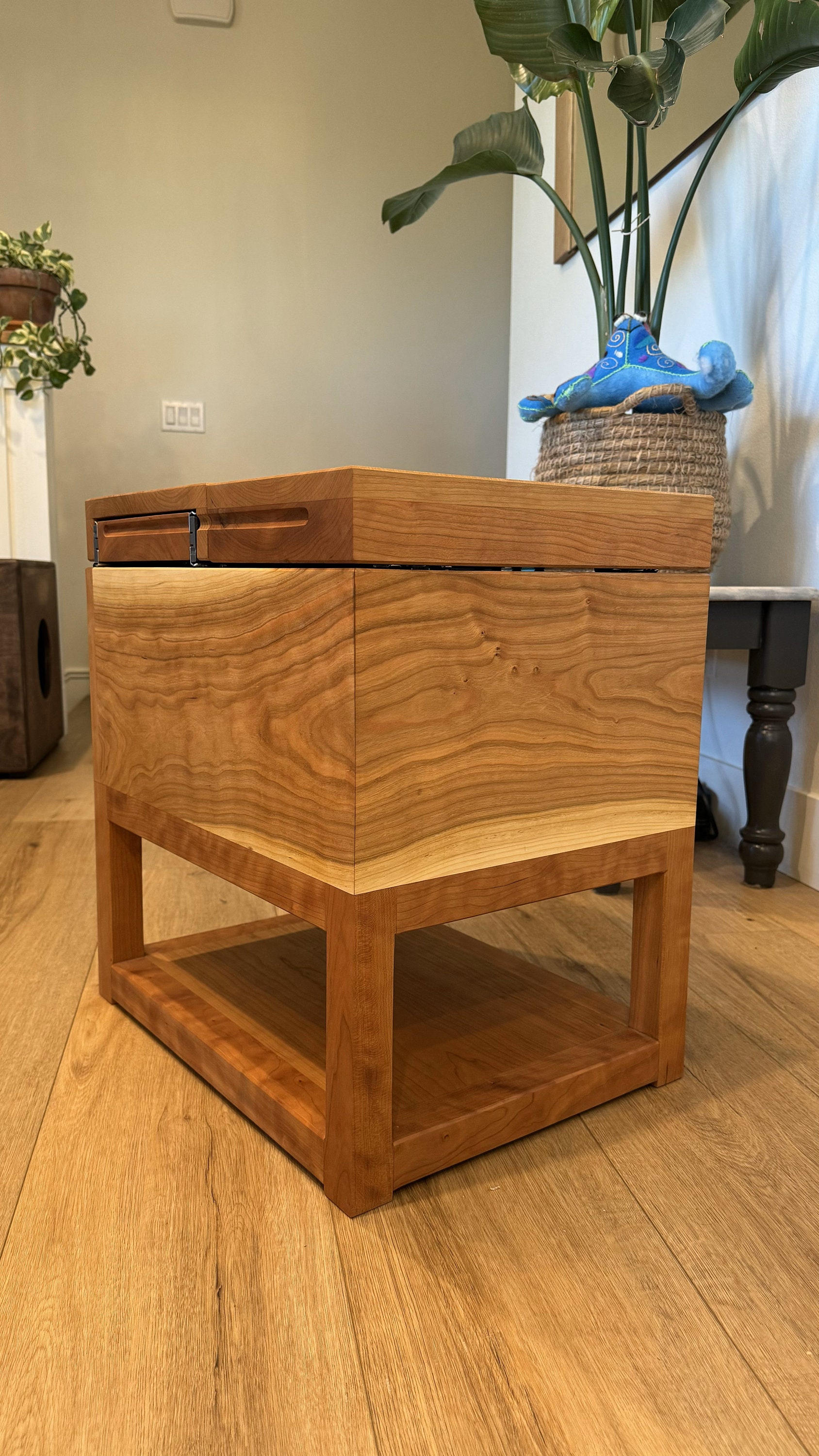 Lift Top Couch End Table With Drawers, Cabinet, TV Table, Scandinavian ...