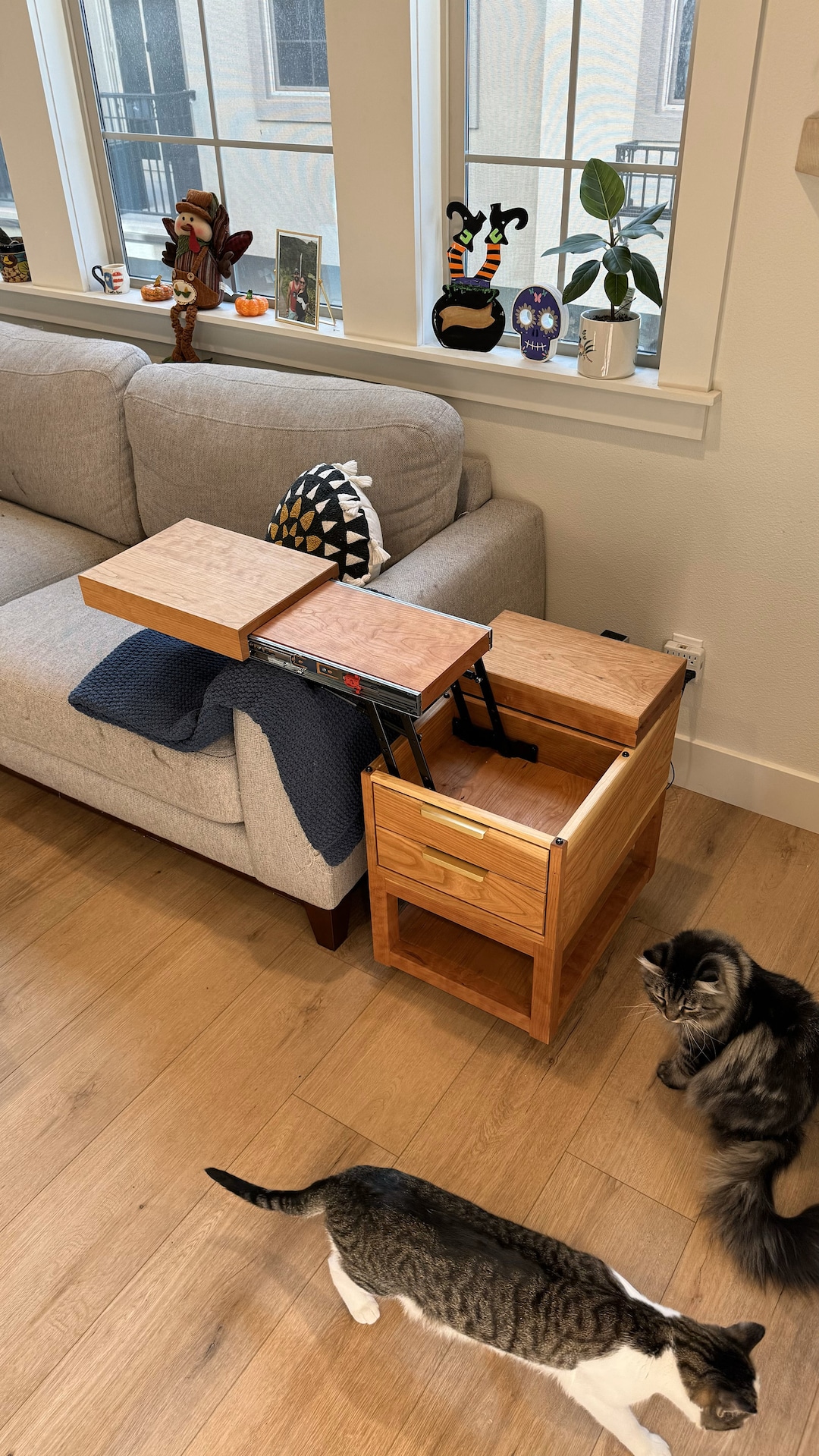 Lift Top Couch End Table With Drawers, Cabinet, TV Table, Scandinavian ...