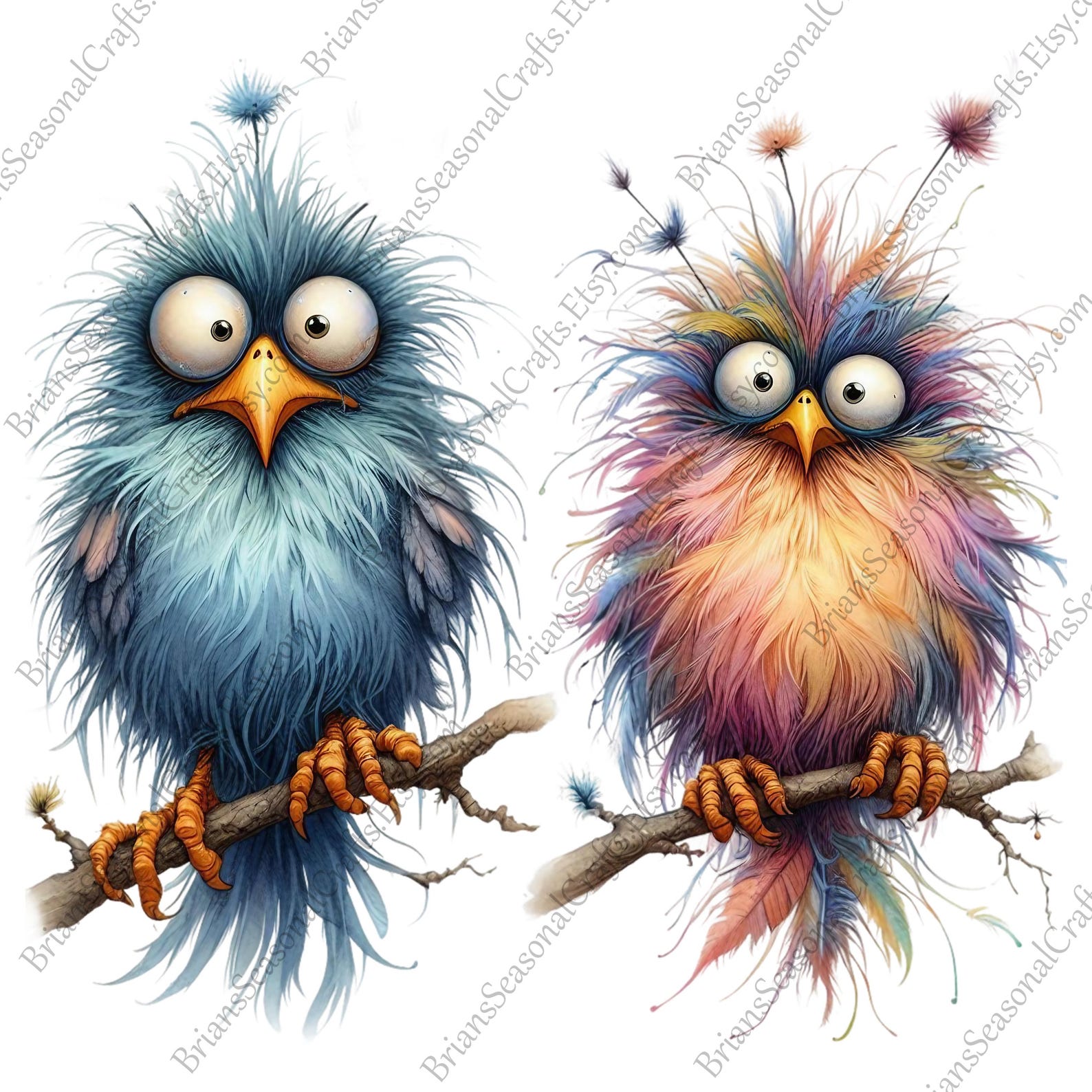 14 Quirky & Whimsical Bird Clipart - Etsy