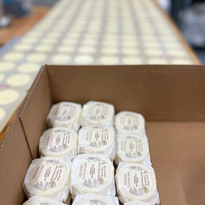 Lotion Bar Base Recipe, 3 Variations, Beginner Friendly (PDF Download ...