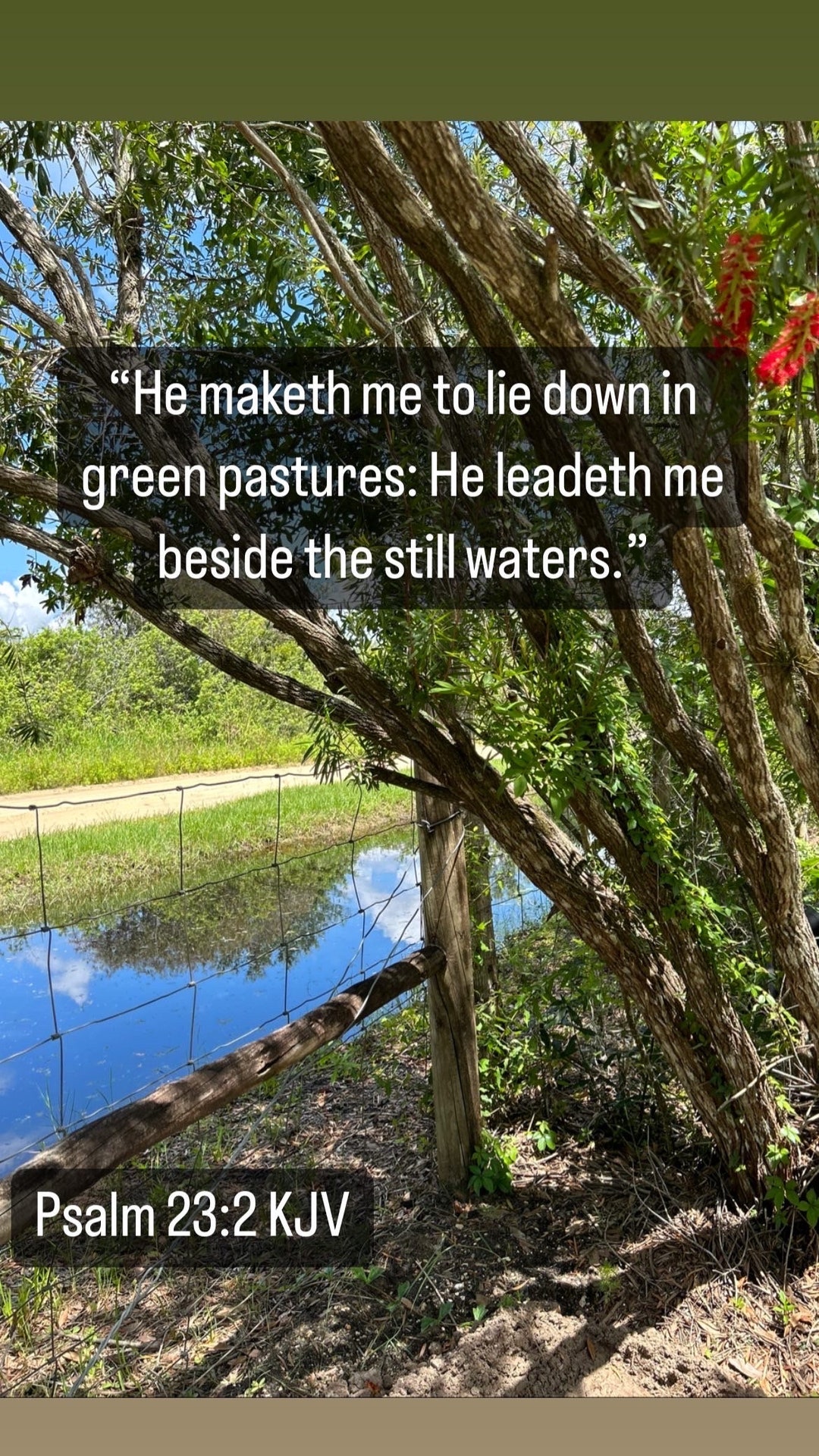 He Maketh Me to Lie Down in Green Pastures Bible Verse Art Print - Etsy