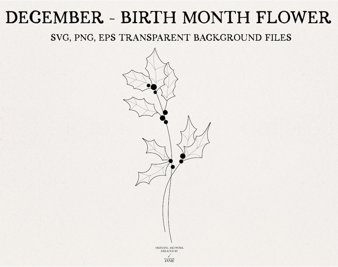 December Birth Month Flower - December Holly Berry Flower - Birth Month ...