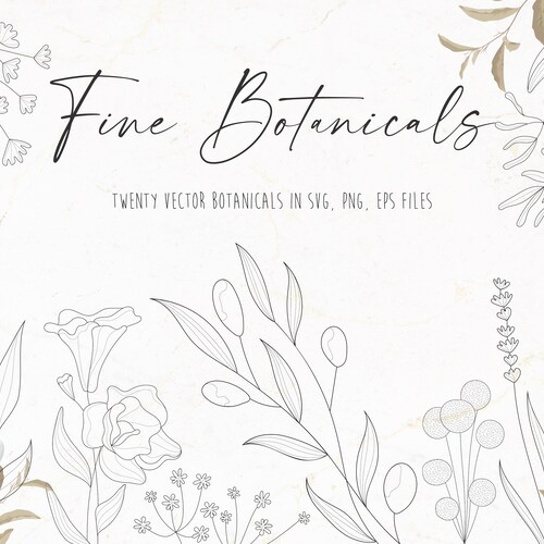 Botanical Clipart Set Botanical SVG Bundle Floral SVG | Etsy