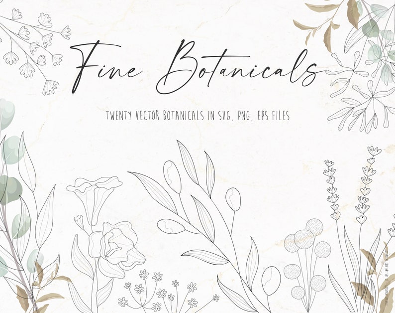 Botanical Clipart Set Botanical SVG Bundle Floral SVG | Etsy