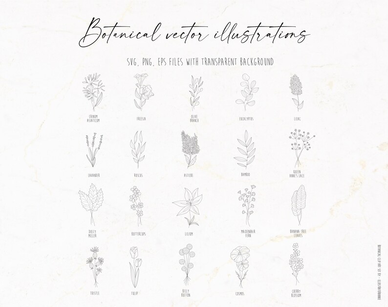 Botanical Clipart Set Botanical SVG Bundle Floral SVG | Etsy