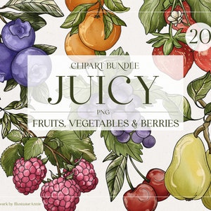 Juicy - Fruit Clipart Bundle - Vegetable Clipart Bundle - Watercolor ...