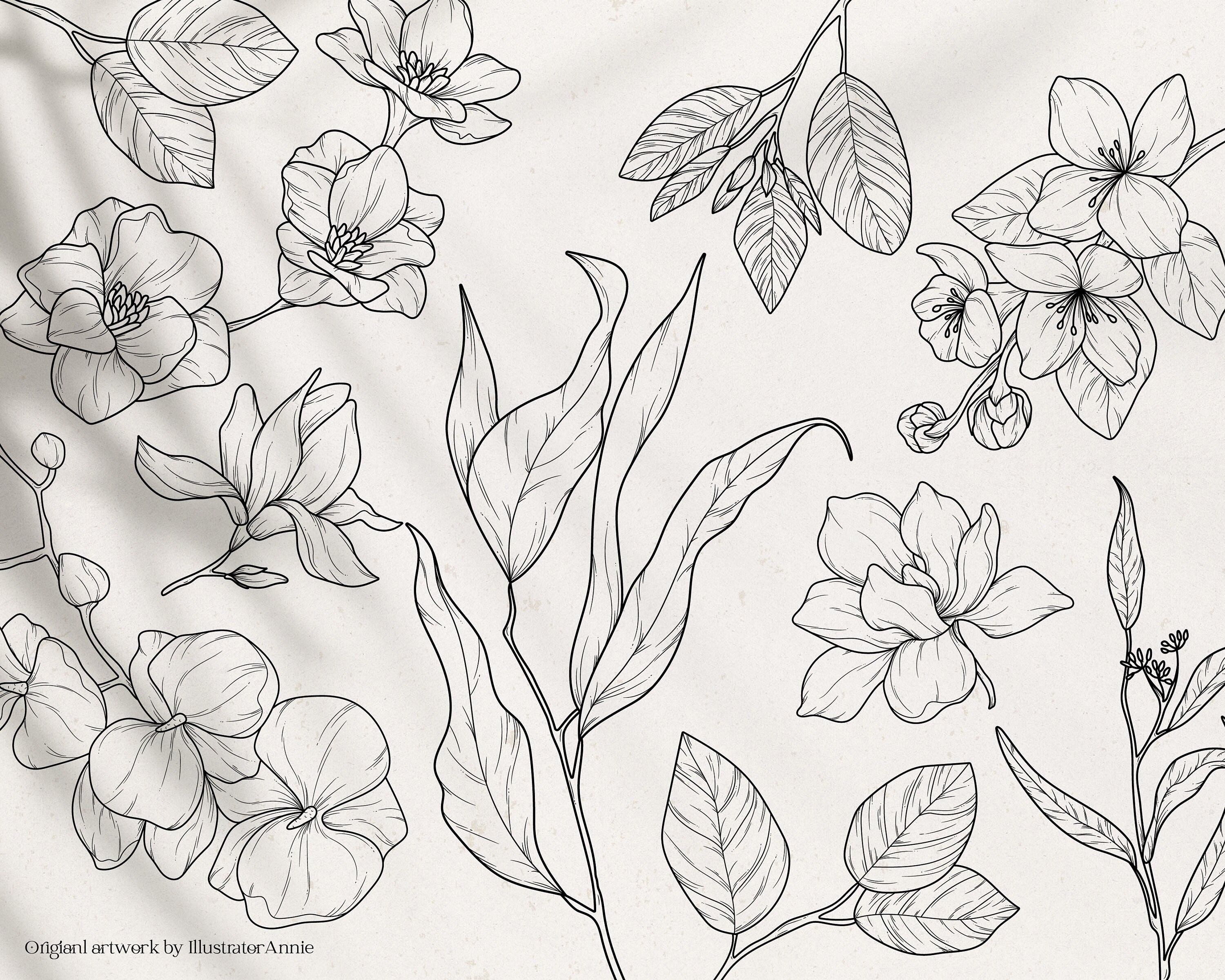 Floral Garden Botanical SVG Line Art Bundle Floral SVG - Etsy