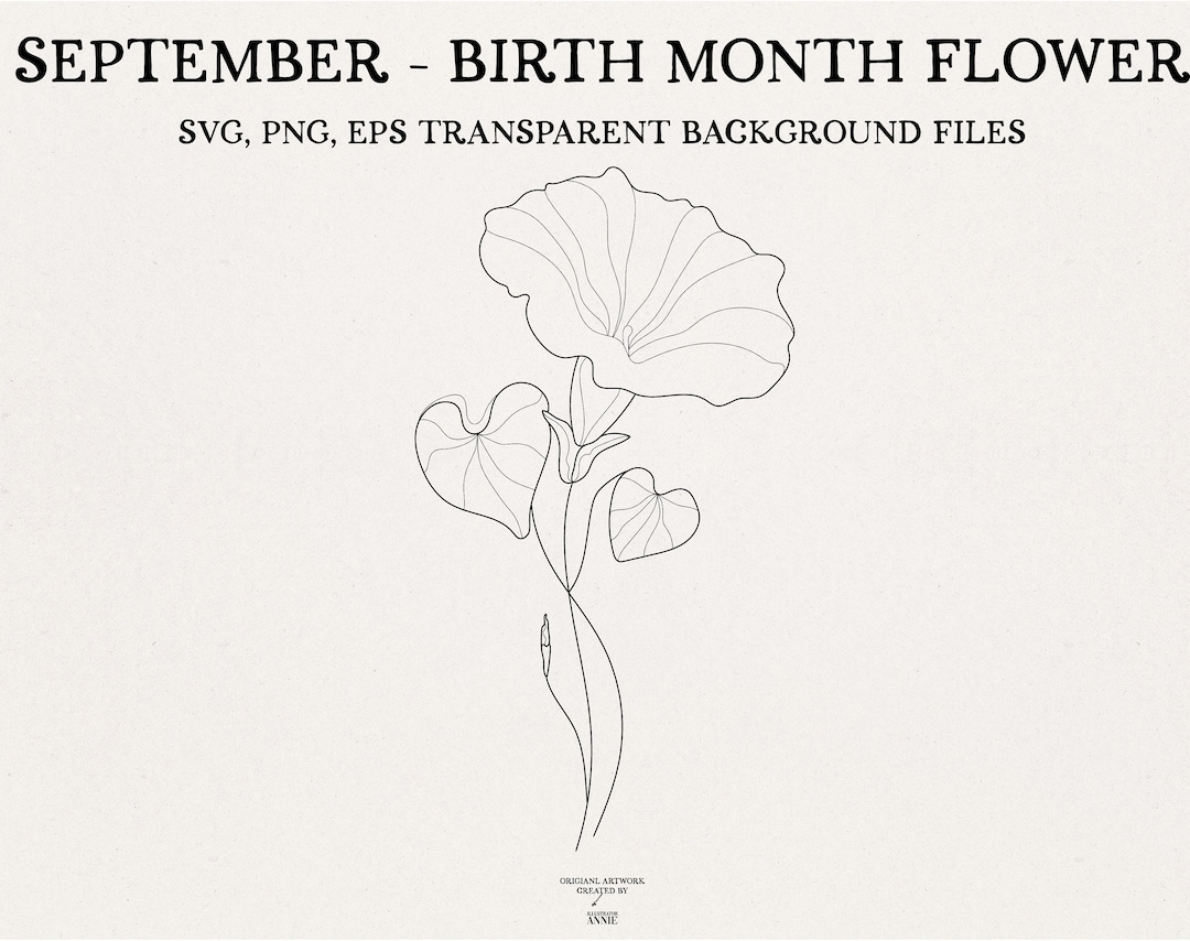 September Birth Month Flower - September Morning Glory Flower - Birth ...