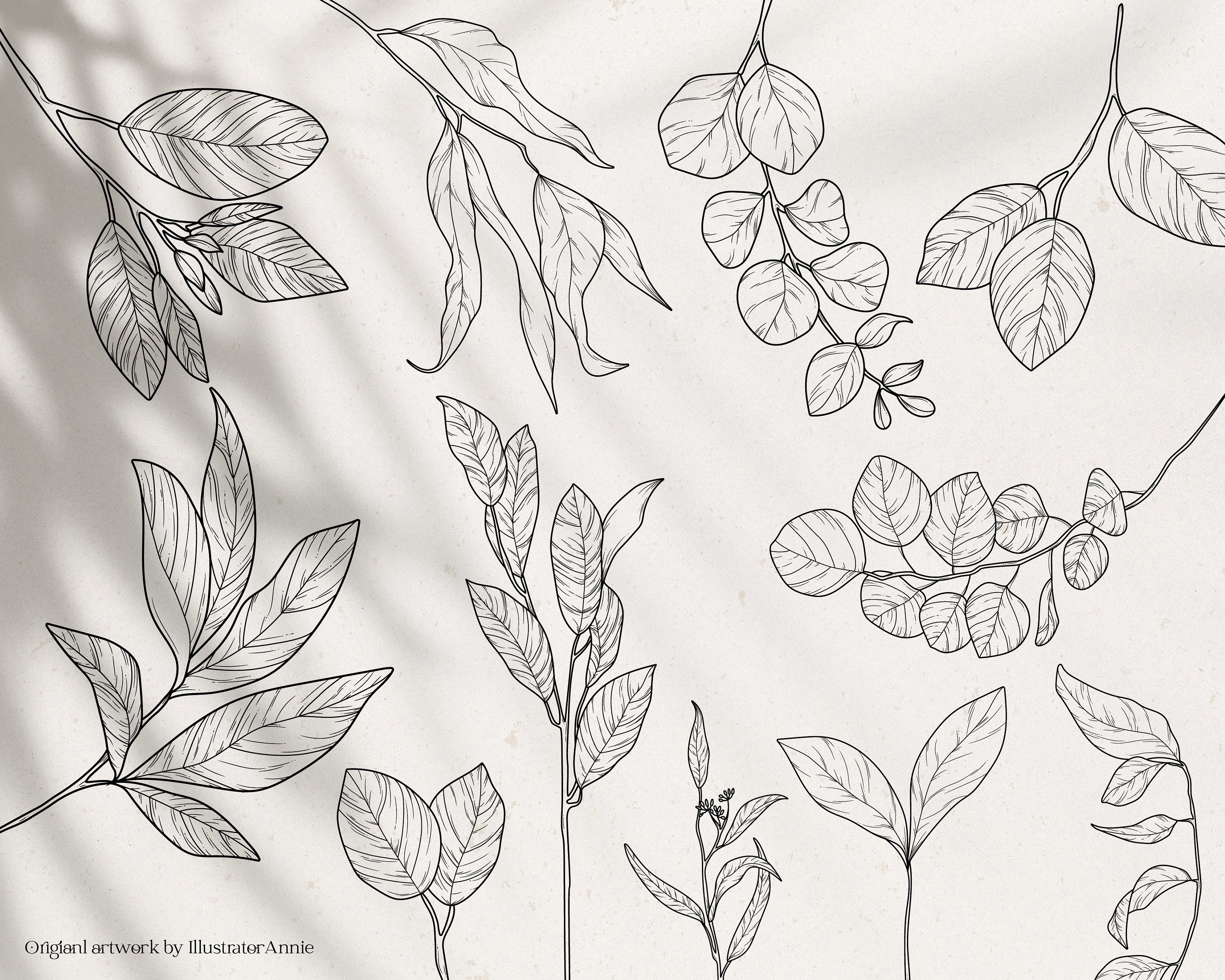 Floral Garden Botanical SVG Line Art Bundle Floral SVG - Etsy