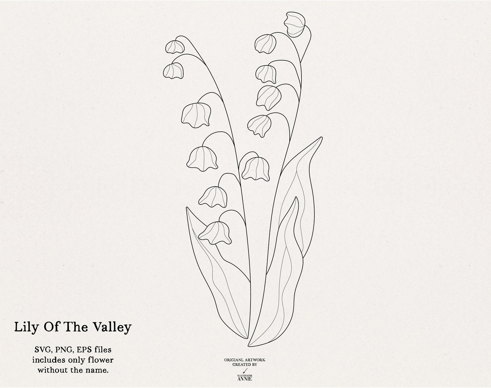 May Birth Month Flower - May Lily of the Valley Flower - Birth Month ...