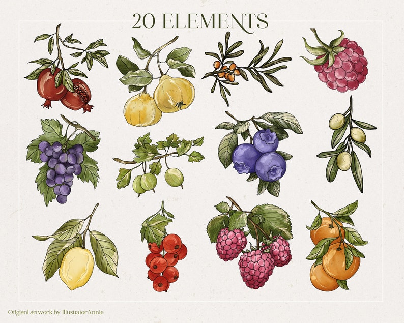 Juicy - Fruit Clipart Bundle - Vegetable Clipart Bundle - Watercolor ...
