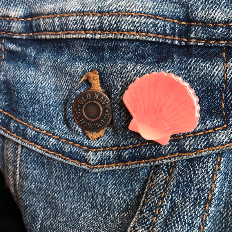 Seashell Pin - Etsy