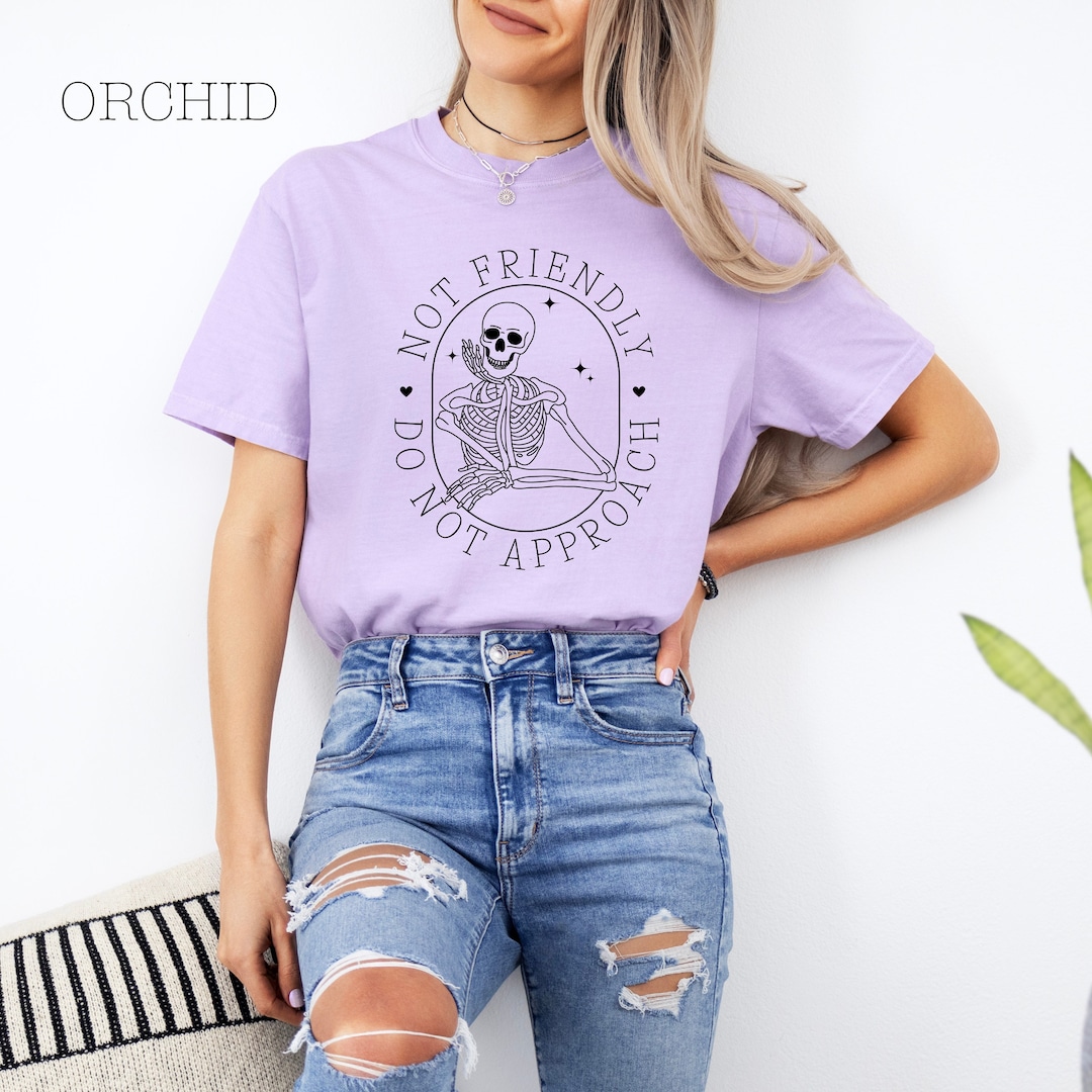 Not Friendly Do Not Approach T-shirt, Funny Graphic Tee, Introvert T ...