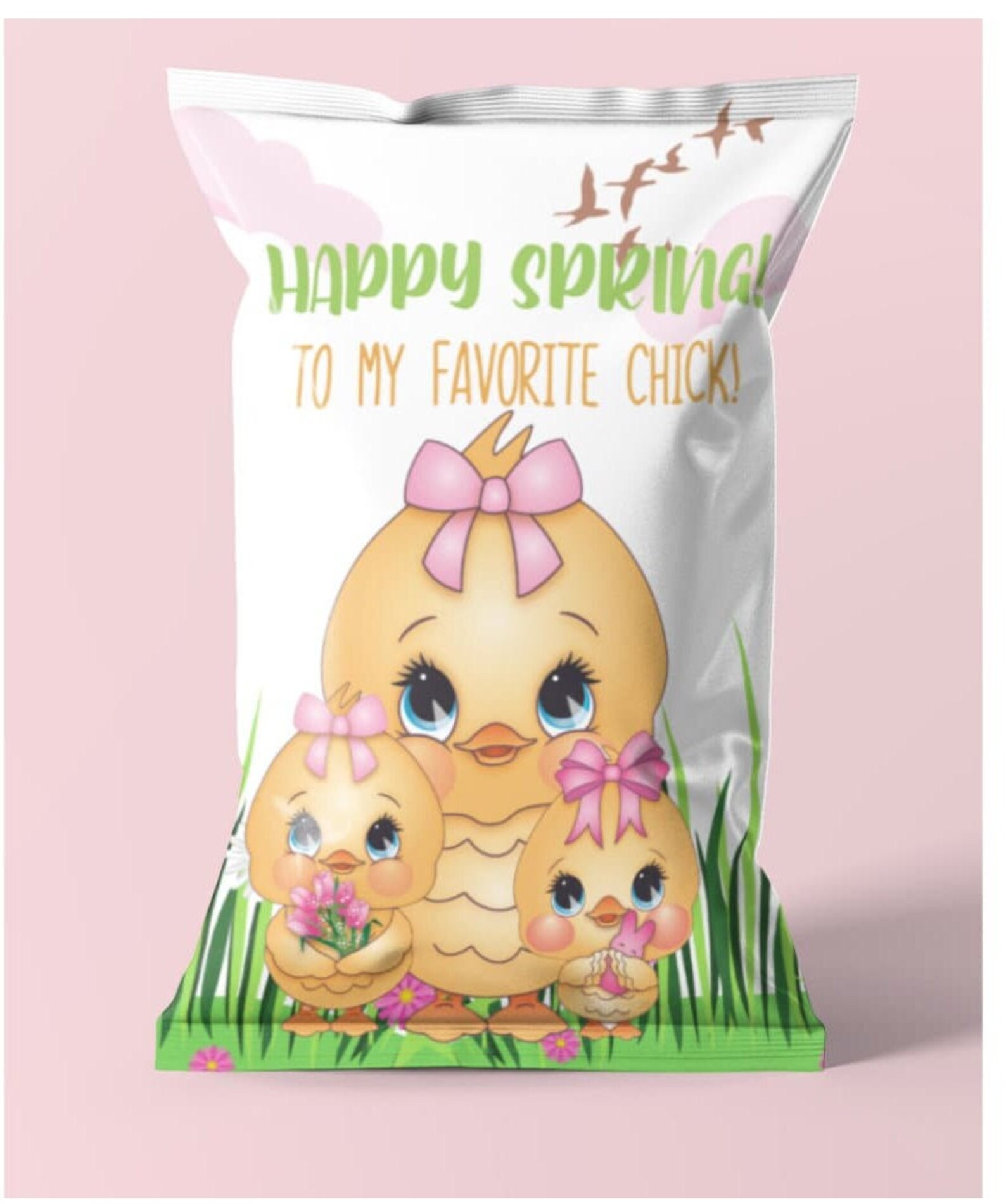 Favorite Chicks Chip Bag - Etsy