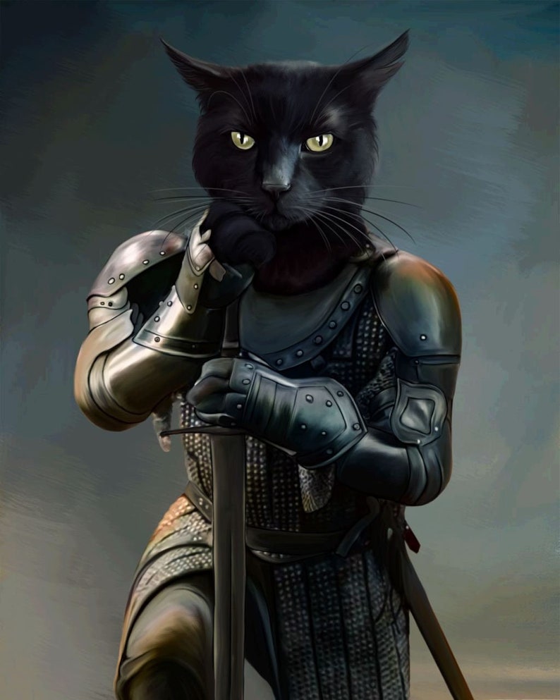 Custom Knight Cat Portrait Cat Lover Gift Pet Lover Gift - Etsy