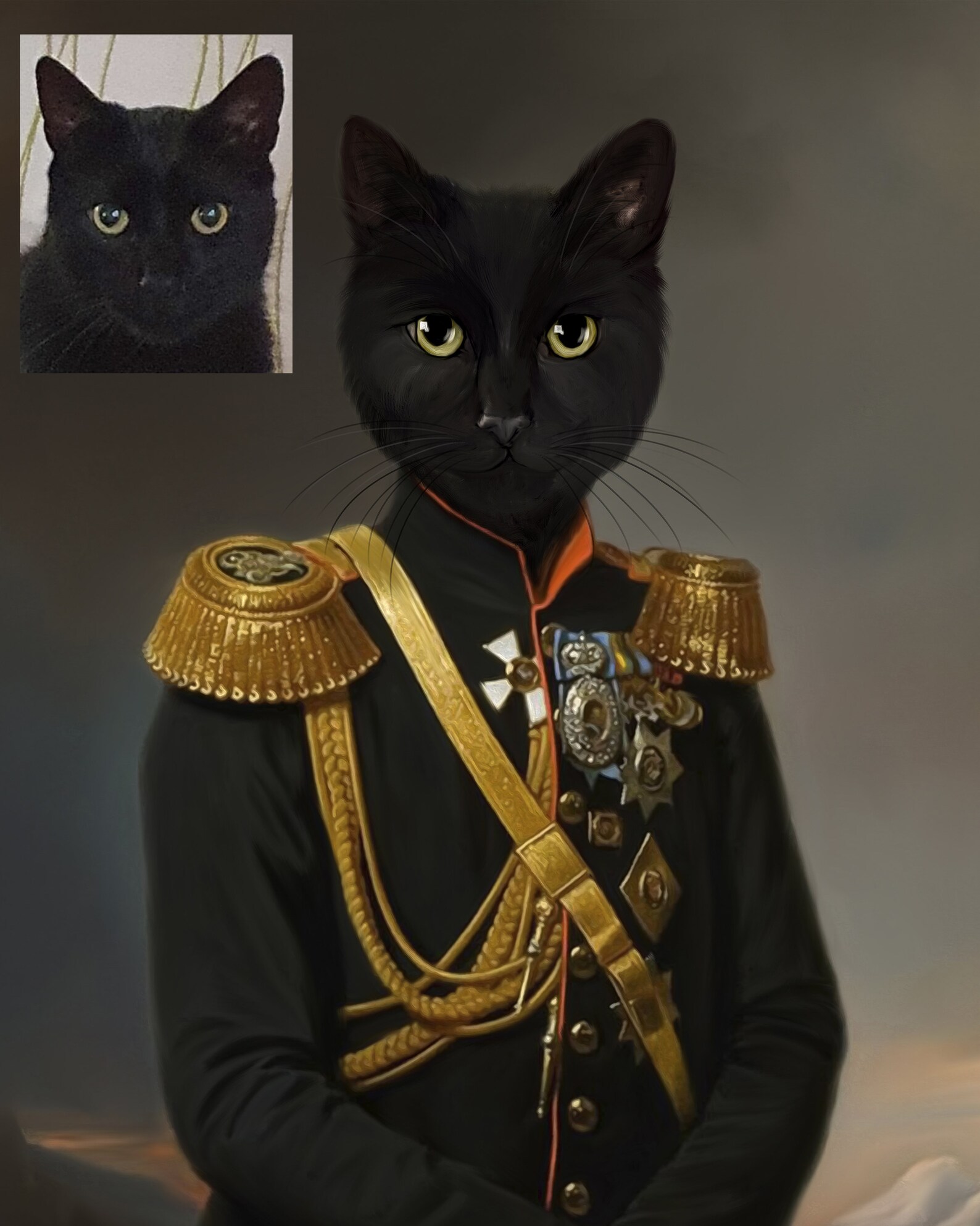 Custom Cat Portrait King Cat Art Royal Pet Portrait Pet | Etsy