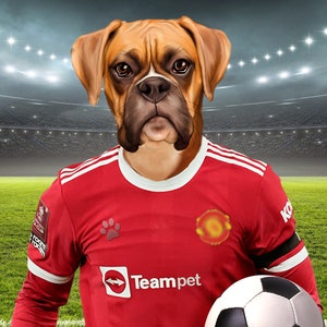 Soccer Dog, Custom Pet Portrait, Football Lover Gift, English Soccer - Etsy
