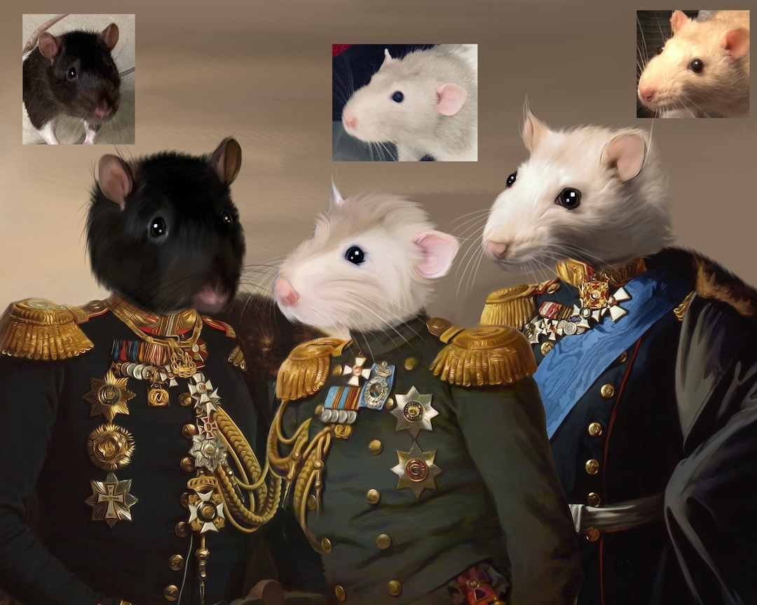 Custom Rat Portrait, Custom Pet Portrait, Rat Lover Gift, Regal Pet ...