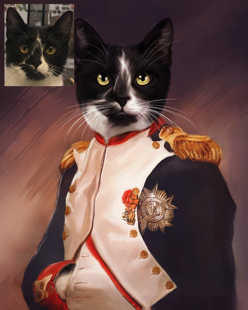 Custom Cat Portrait King Cat Art Royal Pet Portrait Pet - Etsy