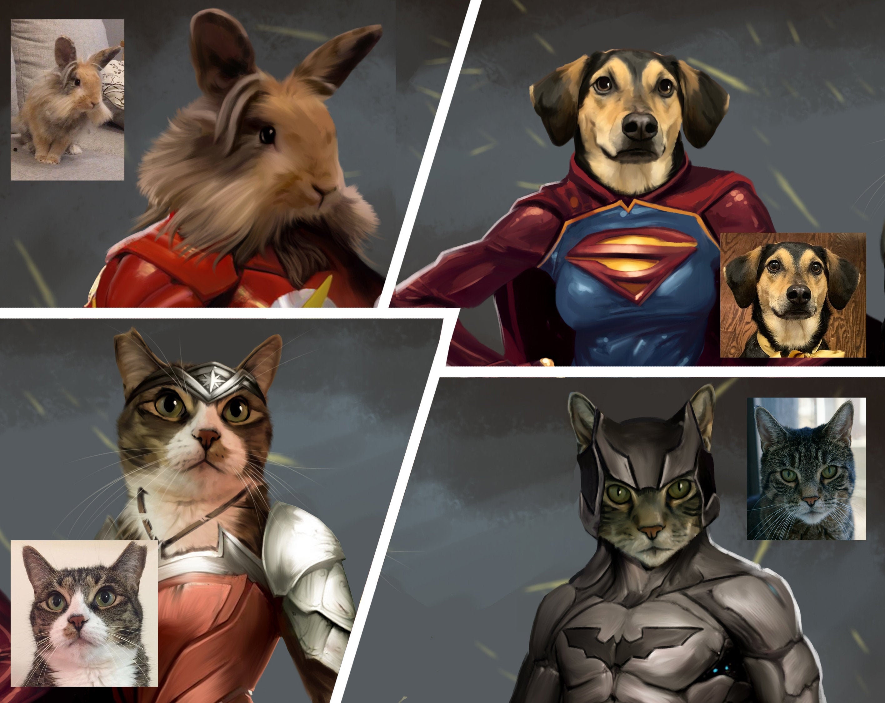 Super Hero Cats And Dogs