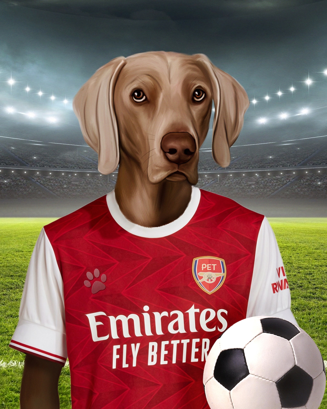 Soccer Dog, Custom Pet Portrait, Football Lover Gift, English Soccer - Etsy
