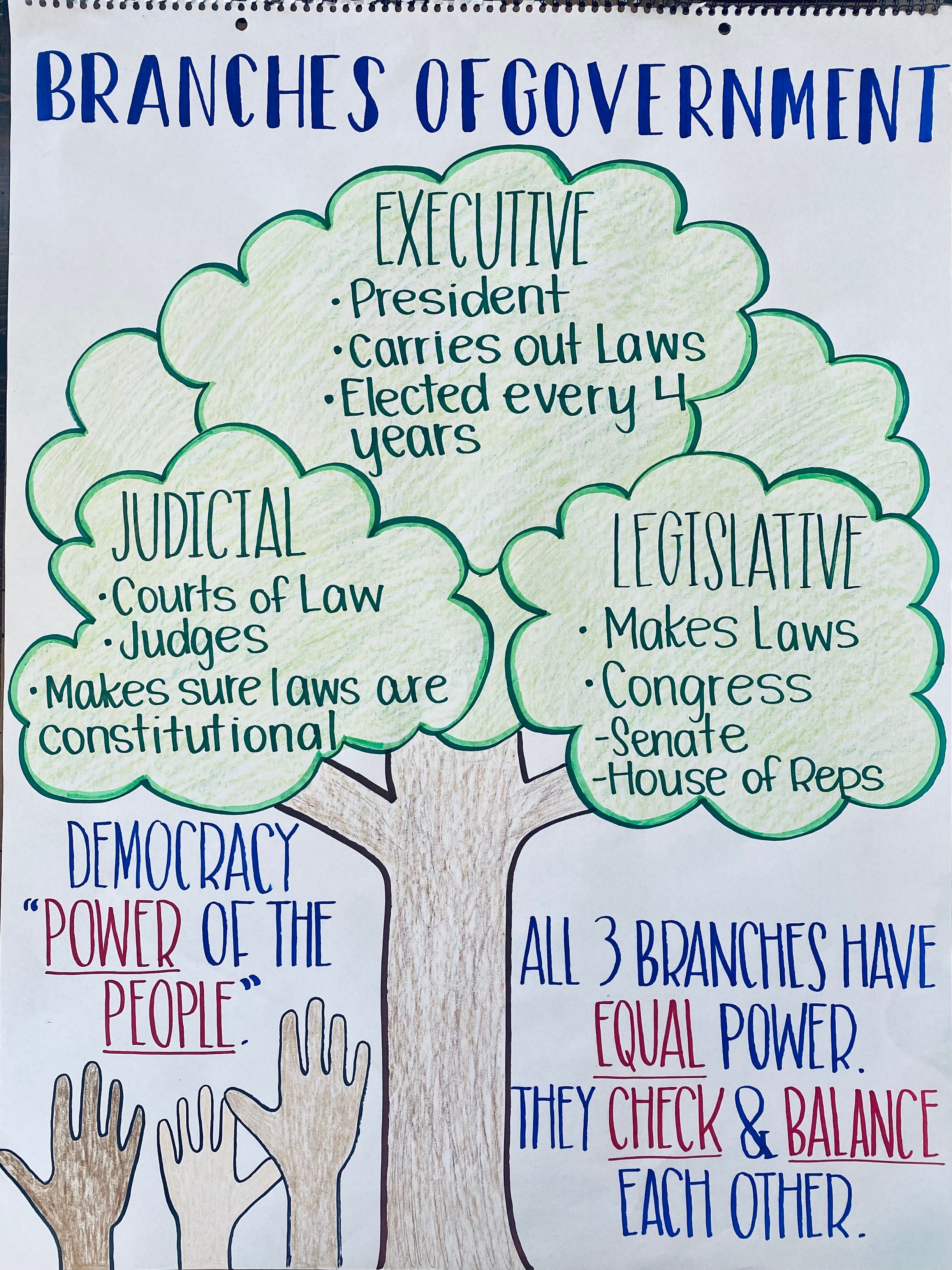 Three Branches Of Government Graphic Organizer